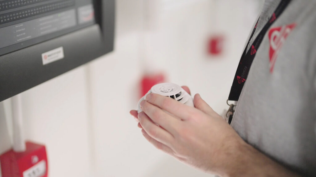 Services - DFP Services